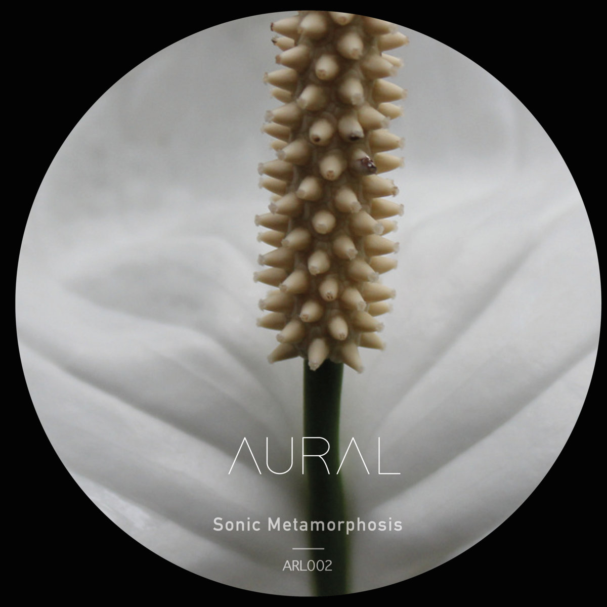 Sonic Metamorphosis by Aural (Album, Ambient): Reviews, Ratings ...