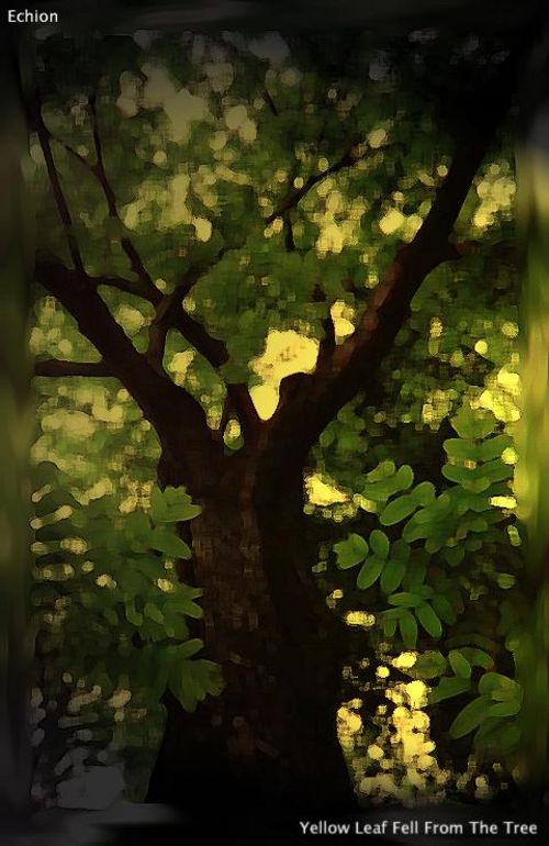 Yellow Leaf Fell From Tree by Echion (Single): Reviews, Ratings ...