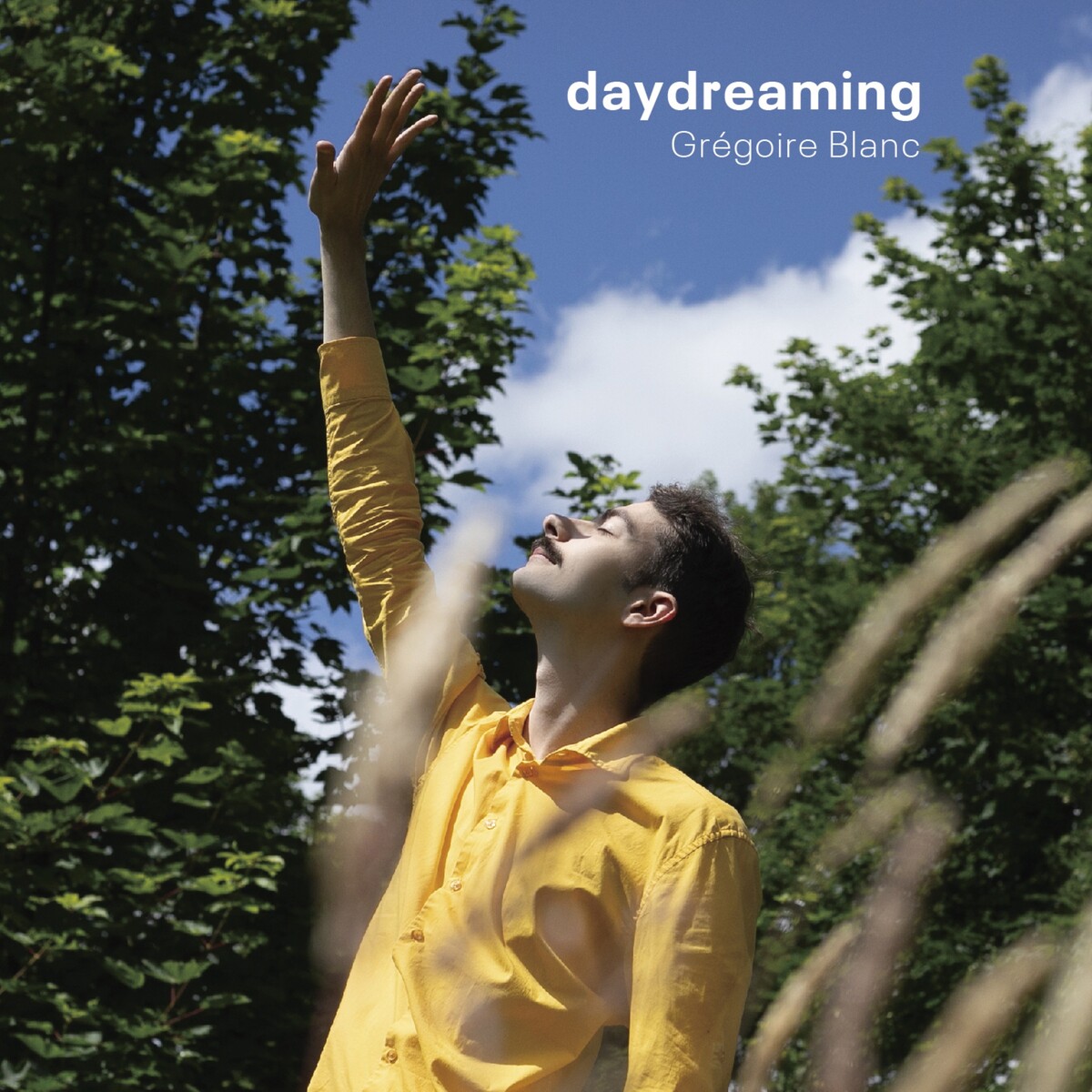 Daydreaming by Grégoire Blanc (Album): Reviews, Ratings, Credits, Song ...