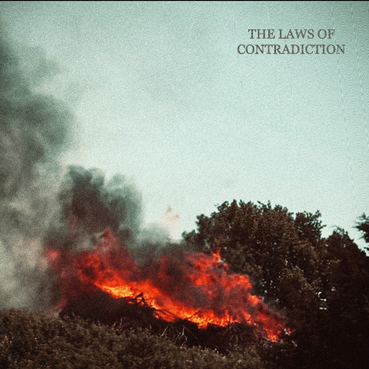 The Laws of Contradiction by SILD (Album, Post-Rock): Reviews, Ratings ...