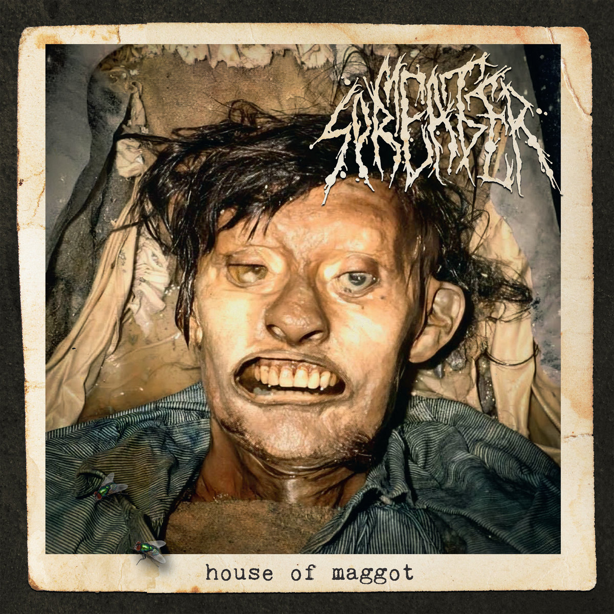 House of Maggot / The Extent of the Putrescent Crawling Swarm's ...