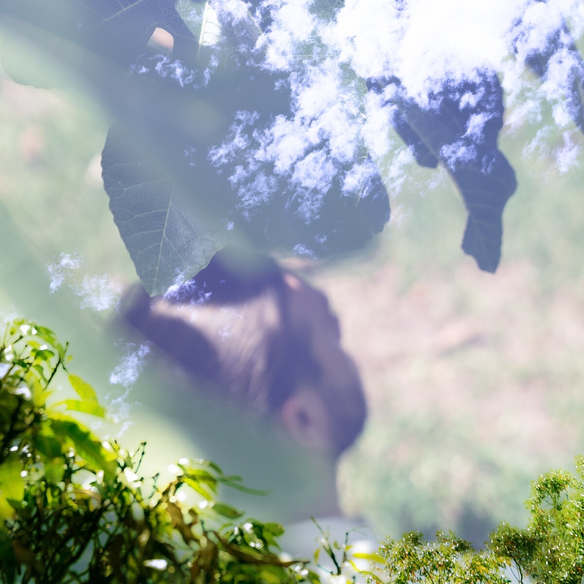 With You by Haitch Music (Album): Reviews, Ratings, Credits, Song list ...