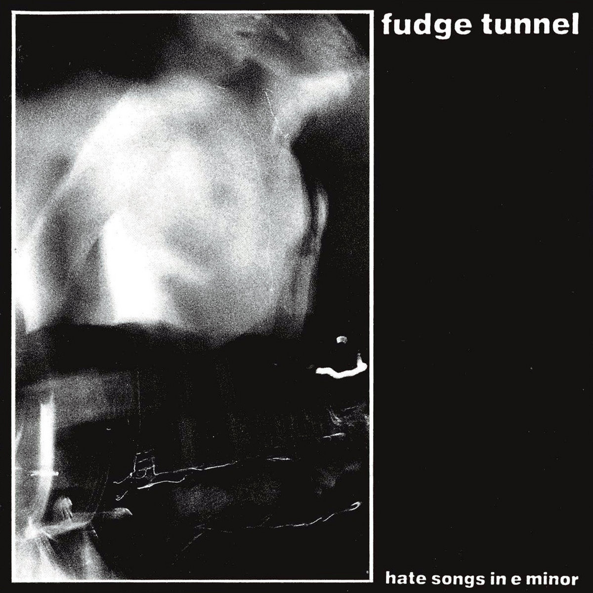 Hate Songs in E minor by Fudge Tunnel (Album, Sludge Metal): Reviews ...