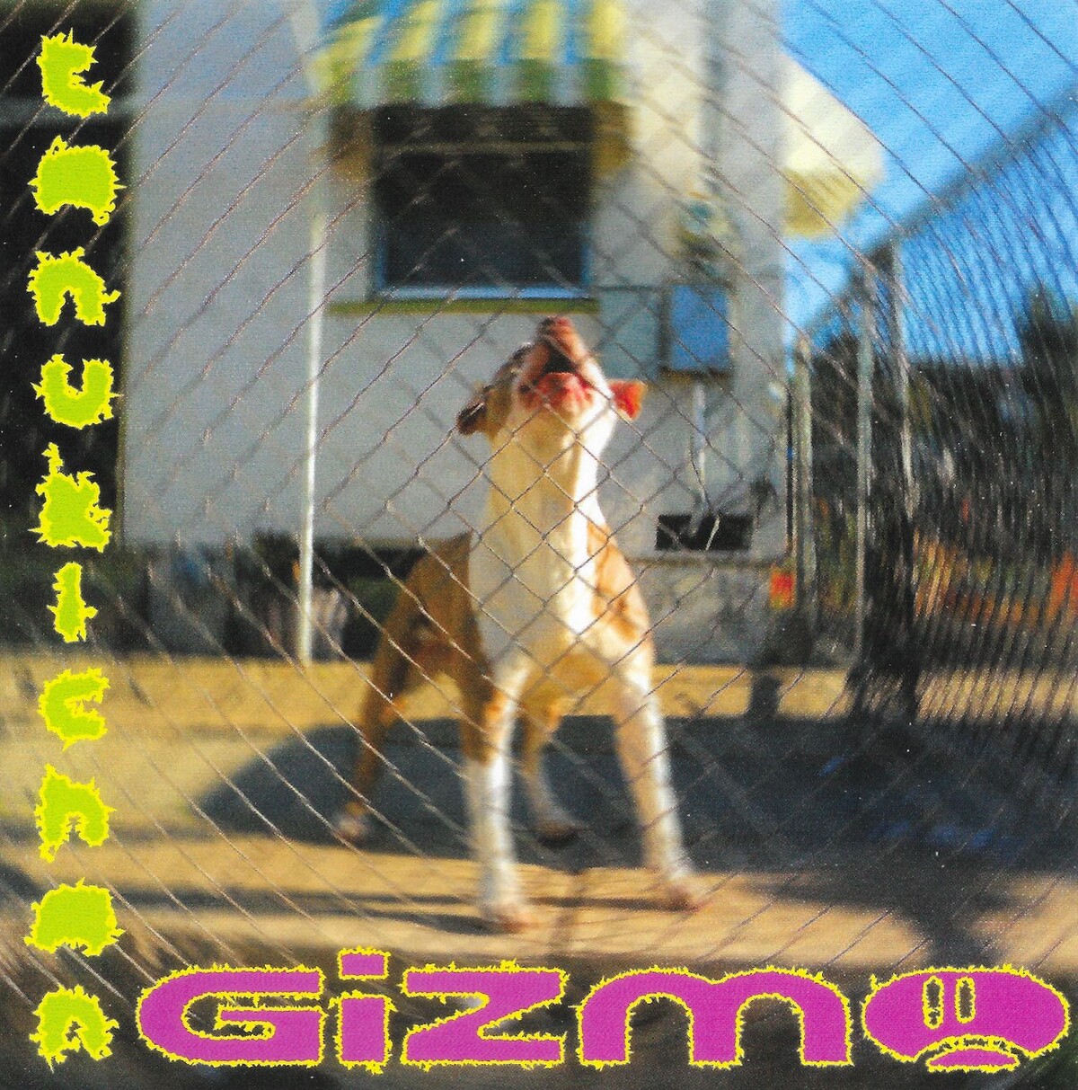 Gizmo by Tanukichan (Album; Company; CHI18): Reviews, Ratings, Credits ...