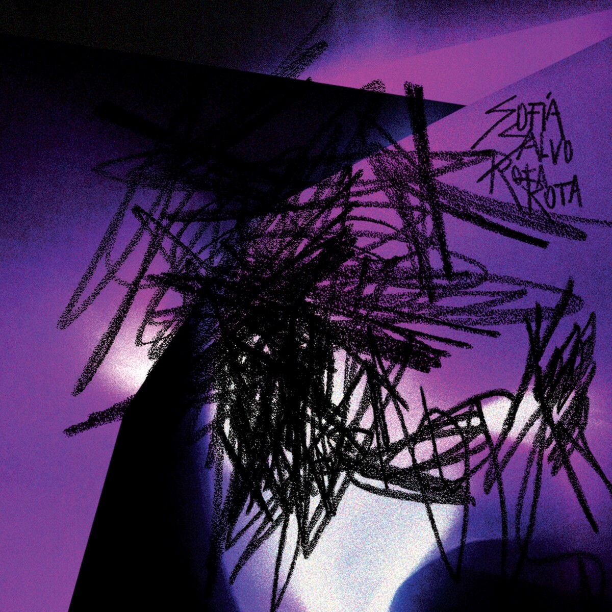 Rotarota by Sofía Salvo (Album): Reviews, Ratings, Credits, Song list - Rate Your Music