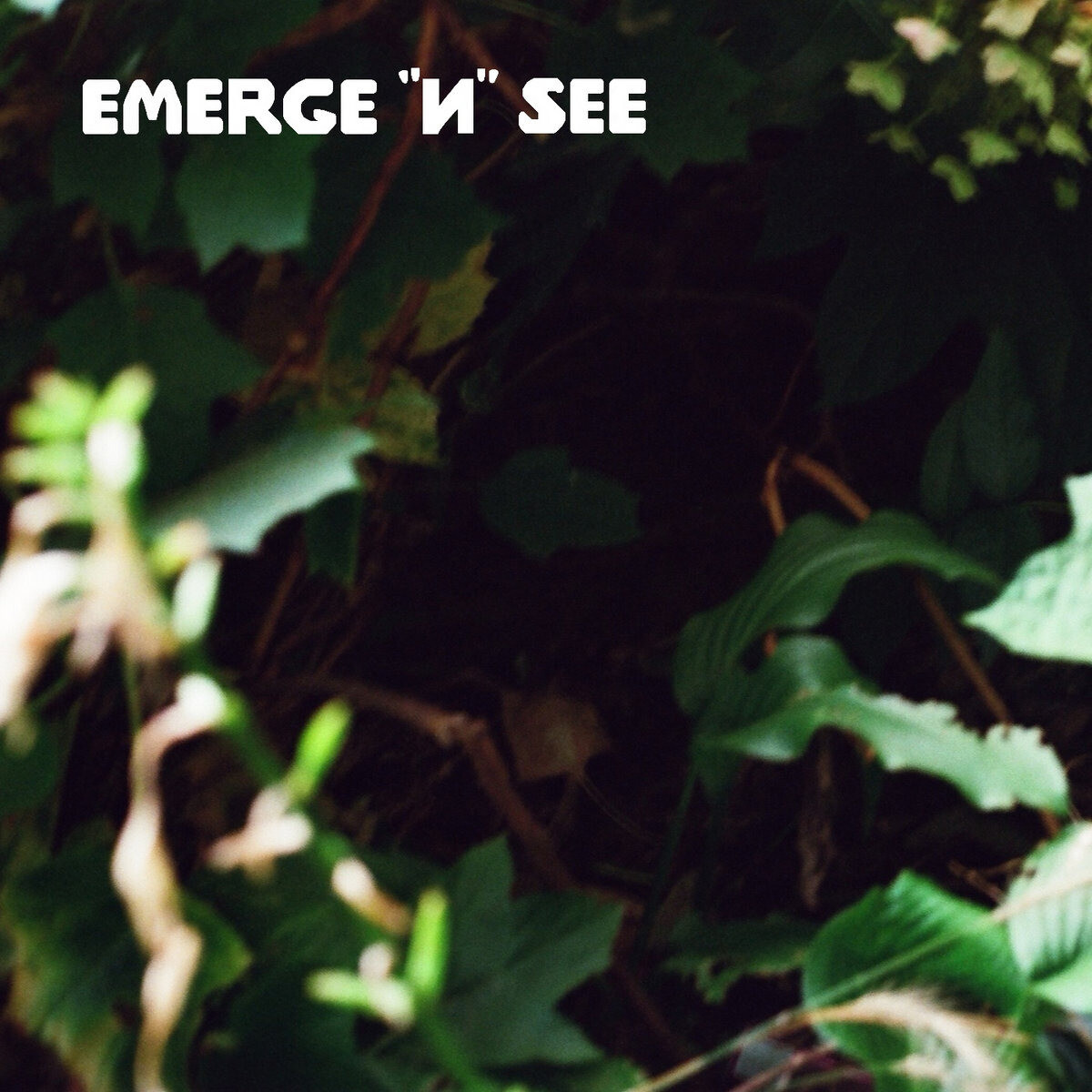 emerge "n" see by shemar (Album): Reviews, Ratings, Credits, Song list ...