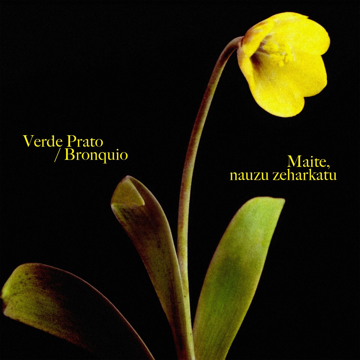 Maite, nauzu zeharkatu by Verde Prato & Bronquio (Single, Avant-Folk ...