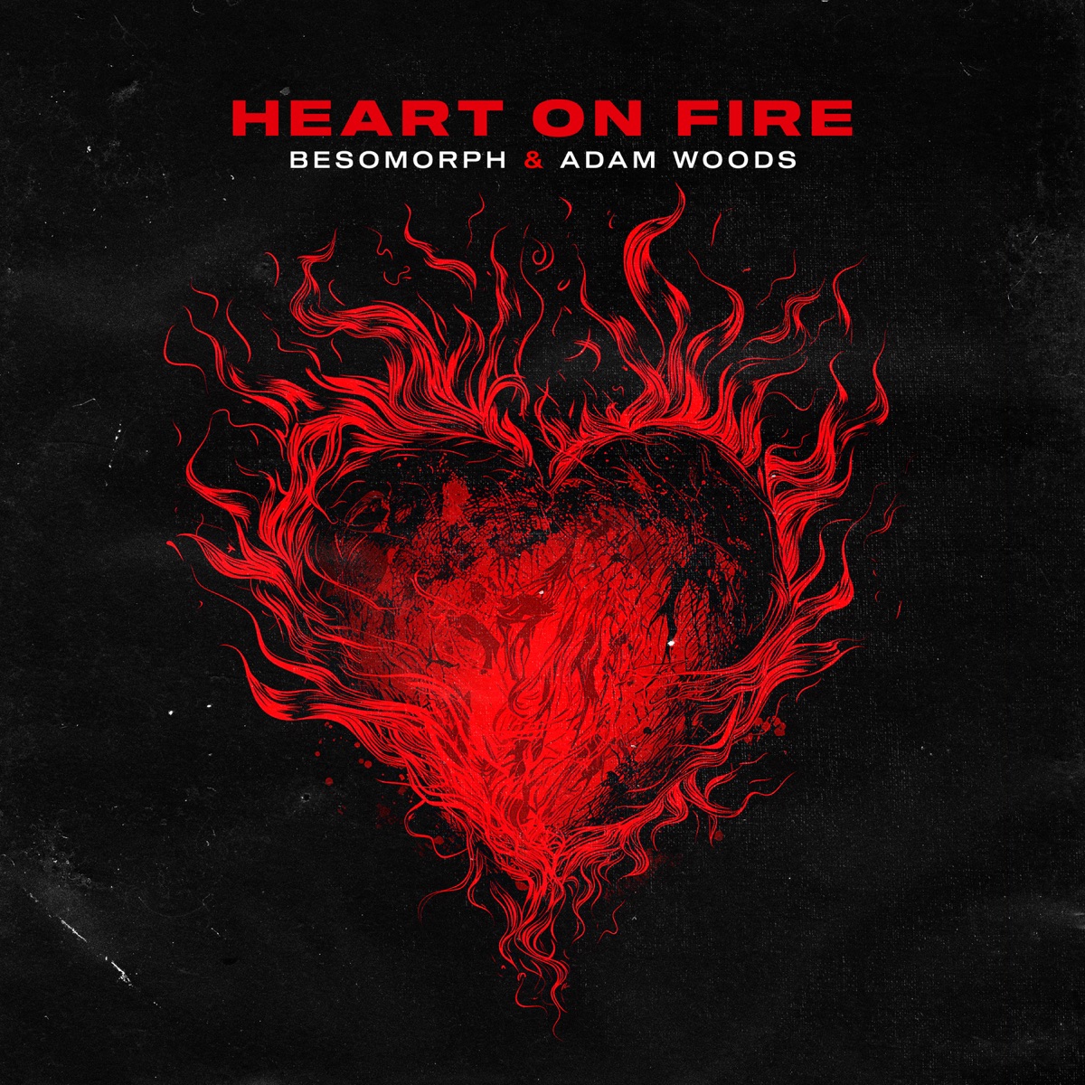 Heart on Fire by Besomorph & Adam Woods (Single): Reviews, Ratings ...