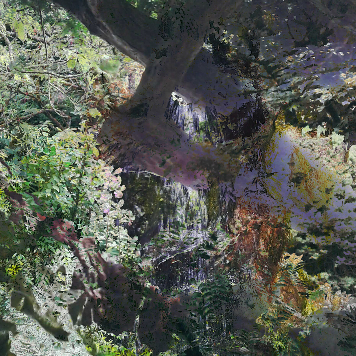 Open by nekora. (Album, Ambient): Reviews, Ratings, Credits, Song list ...