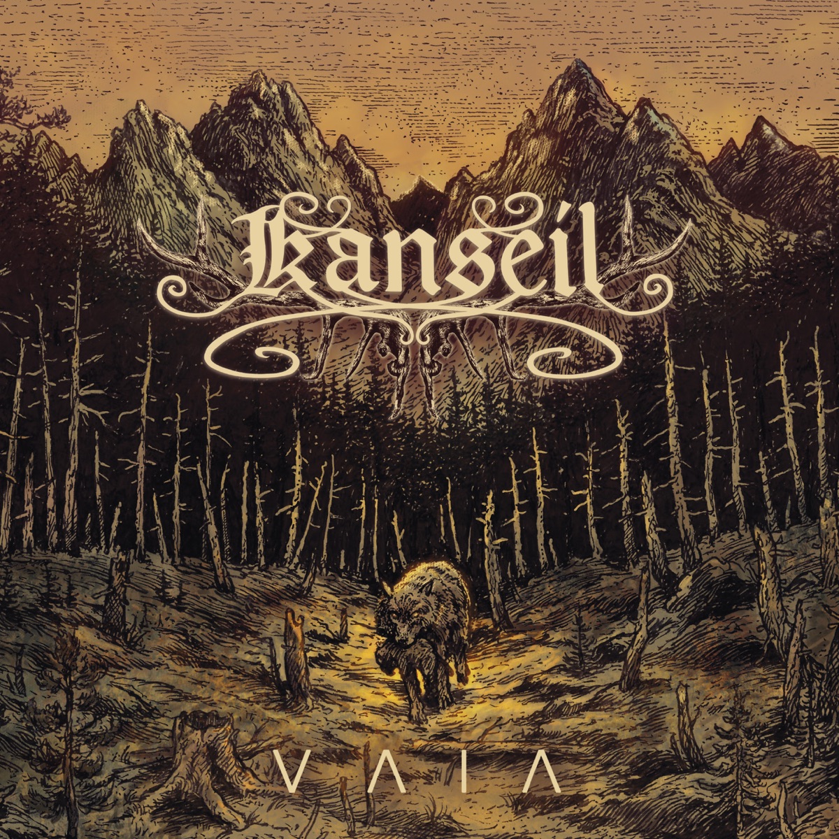 Vaia by Kanseil (Album, Folk Metal): Reviews, Ratings, Credits, Song ...