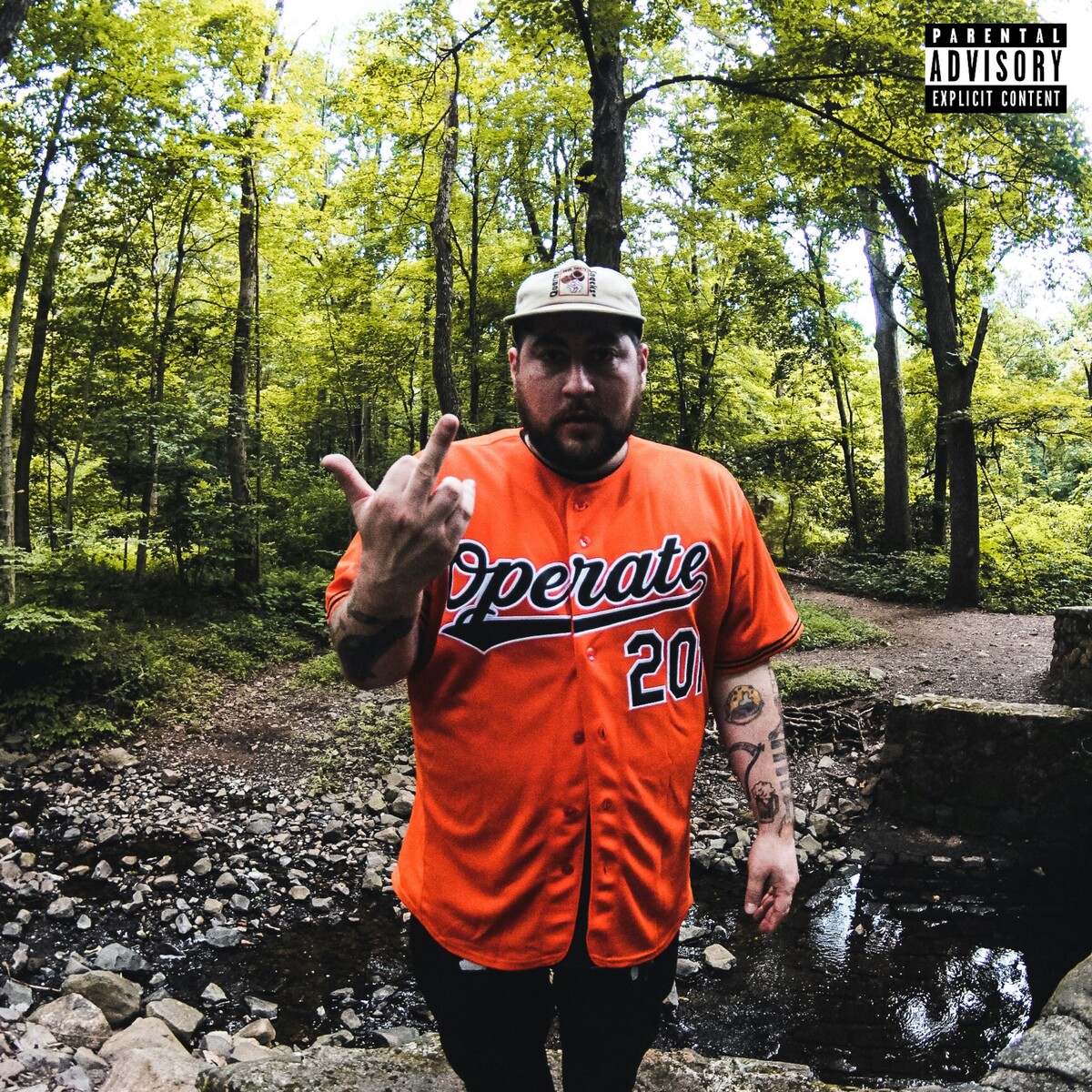 AA Was Lit But We Don't Quit by Vincent, the Owl (Single): Reviews ...