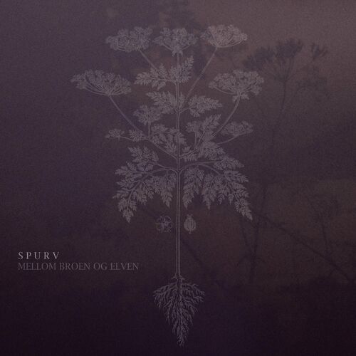 Mellom Broen Og Elven by Spurv (Single): Reviews, Ratings, Credits ...
