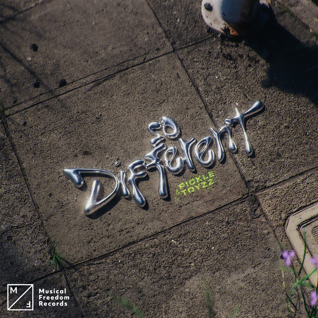 So Different by Pickle & TOYZZ (Single, Tech House): Reviews, Ratings ...