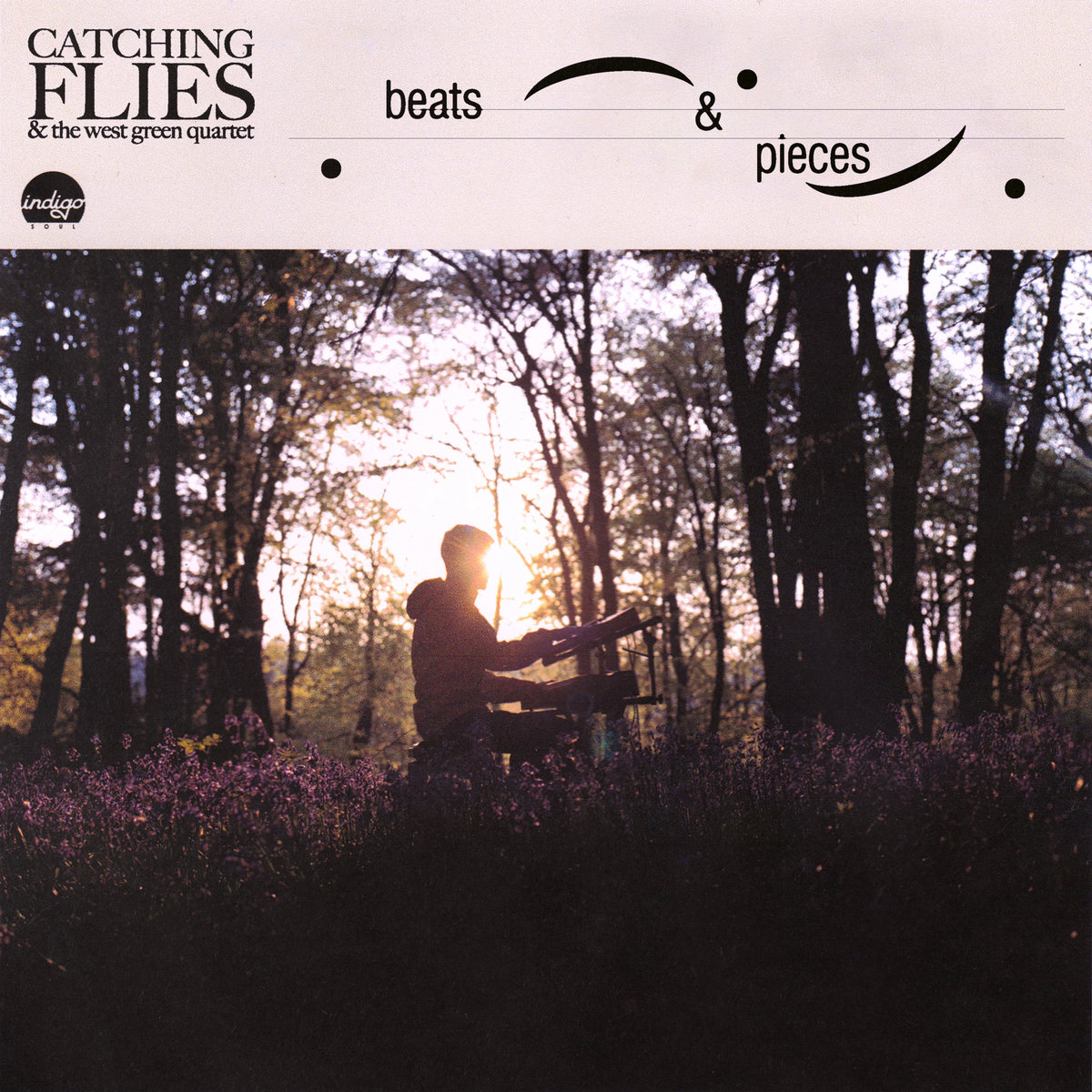 Beats & Pieces by Catching Flies (Album): Reviews, Ratings, Credits ...