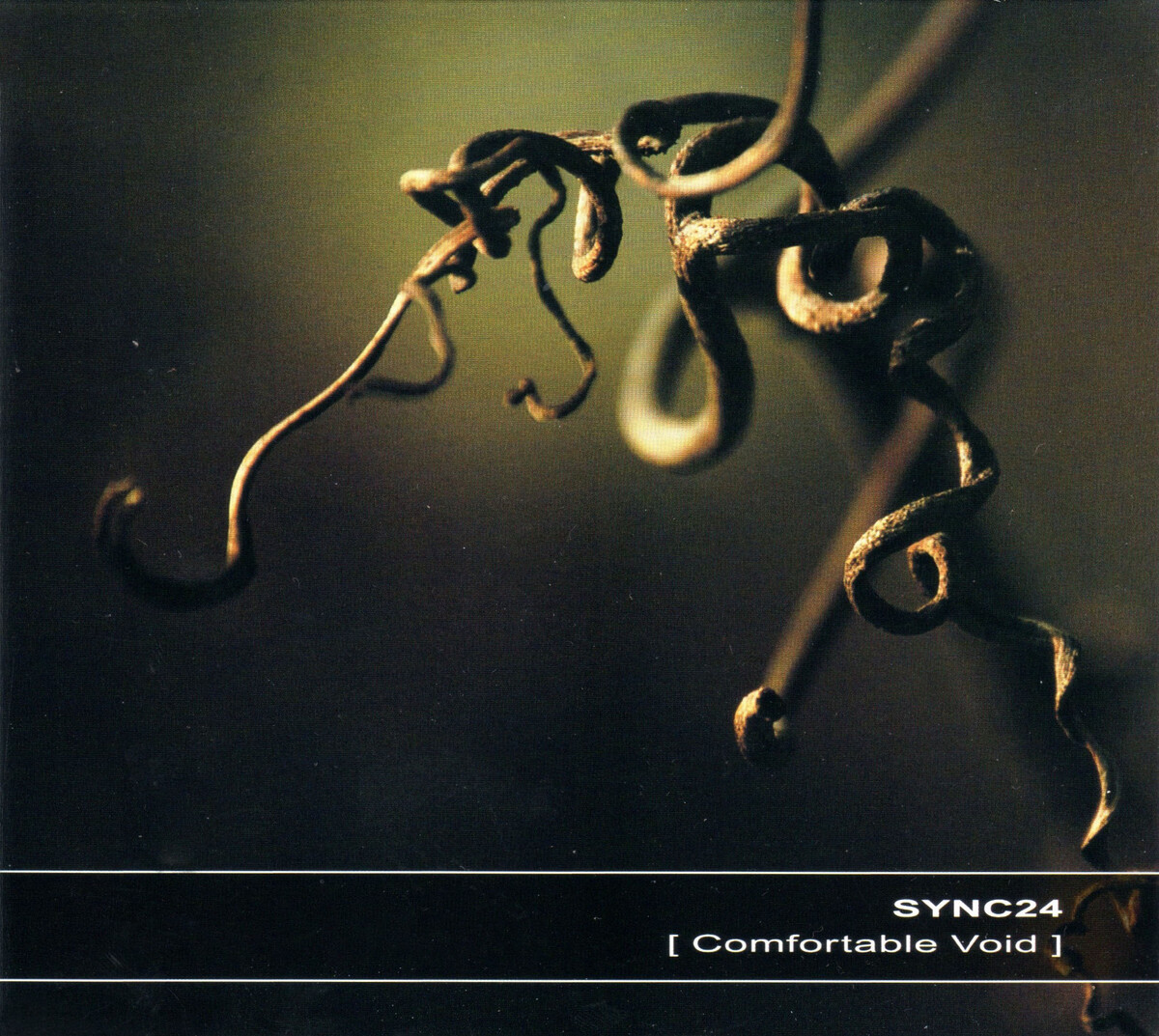 Comfortable Void by SYNC24 (Album, Psybient): Reviews, Ratings, Credits ...