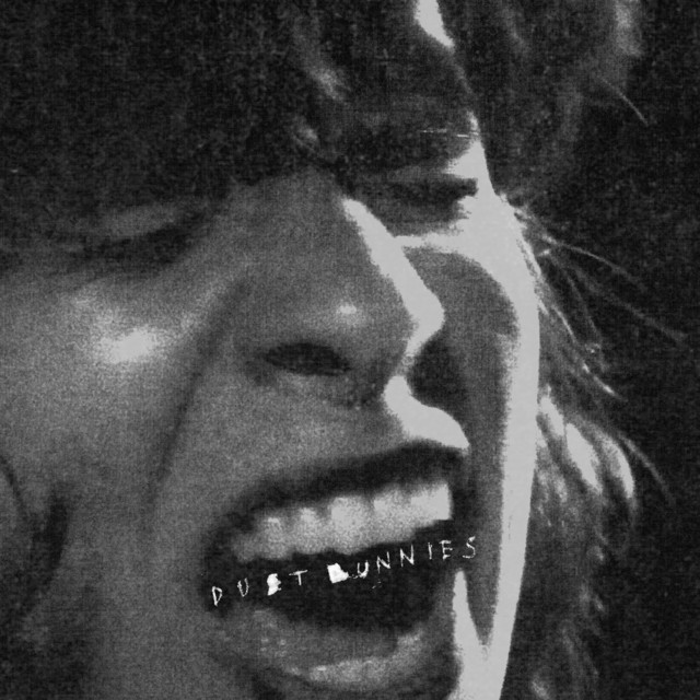 Dust Bunnies by Postcards (Single, Post-Punk Revival): Reviews, Ratings ...