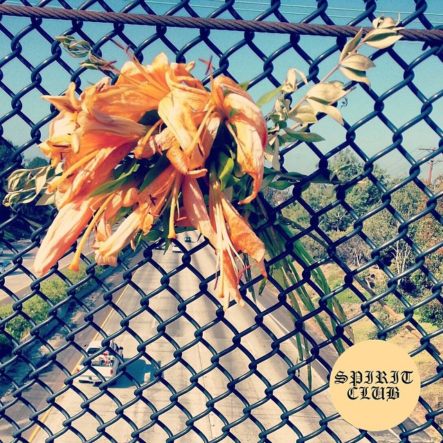 Spirit Club by Spirit Club (Album, Indie Rock): Reviews, Ratings ...