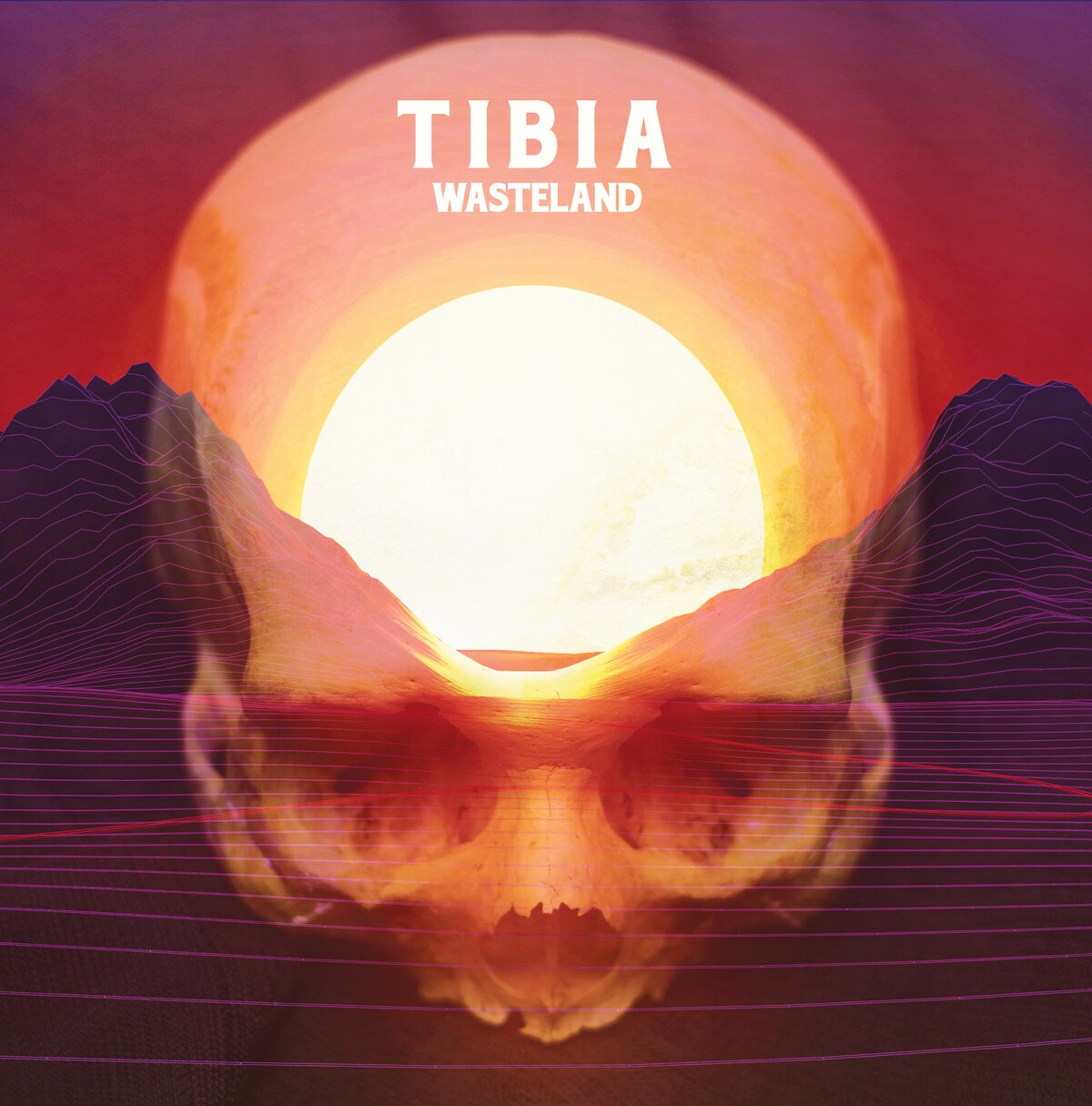 Wasteland by Tibia (Album): Reviews, Ratings, Credits, Song list - Rate ...