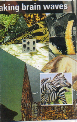 Making Brain Waves by DIA (Album): Reviews, Ratings, Credits, Song list ...