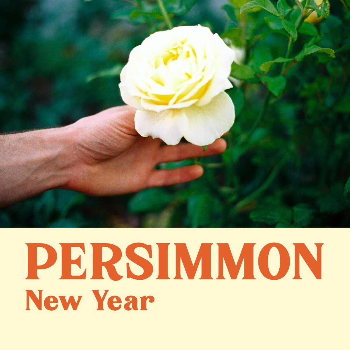 New Year by Persimmon (Single): Reviews, Ratings, Credits, Song list ...