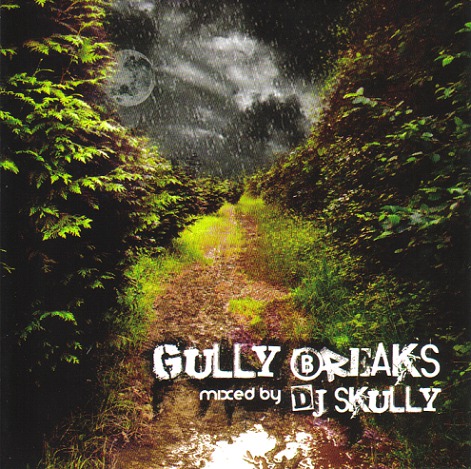 Gully Breaks by DJ Skully (Mixtape): Reviews, Ratings, Credits, Song ...