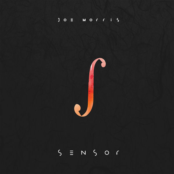 Sensor by Joe Morris (Album, Free Jazz): Reviews, Ratings, Credits ...