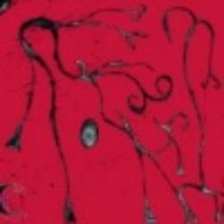 Maqom Albums: songs, discography, biography, and listening guide - Rate ...