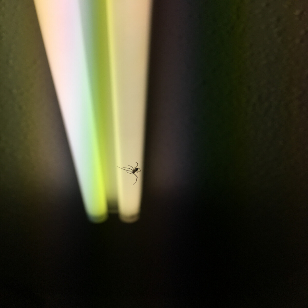 Mathew Lee Cothran Albums: songs, discography, biography, and listening ...