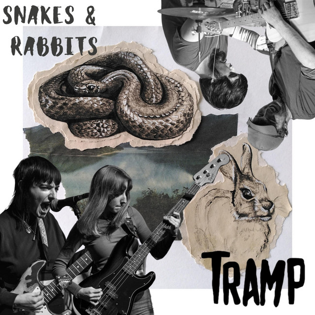 Snakes & Rabbits by TRAMP (Single): Reviews, Ratings, Credits, Song list - Rate Your Music