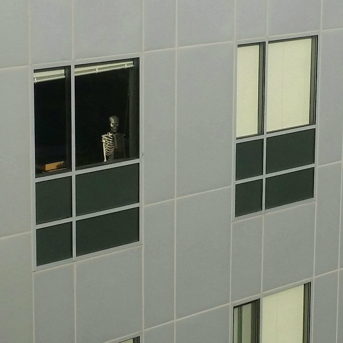 Winter Solstice by Adam Carpenter (Single): Reviews, Ratings, Credits ...