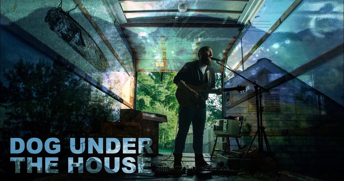 Dog Under the House by Josh Marberry (Music video): Reviews, Ratings ...