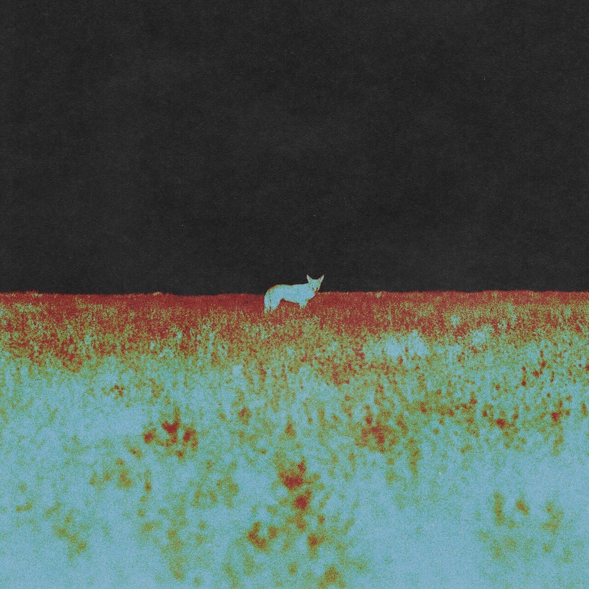 Friday Pilots Club Albums: songs, discography, biography, and listening ...