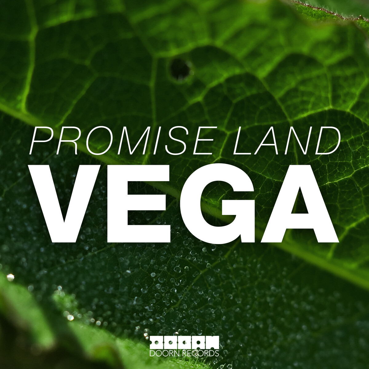 Vega by Promise Land (Single): Reviews, Ratings, Credits, Song list ...