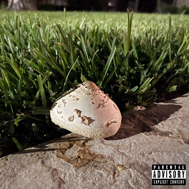 Fungi by Lil Guy (Single): Reviews, Ratings, Credits, Song list - Rate ...