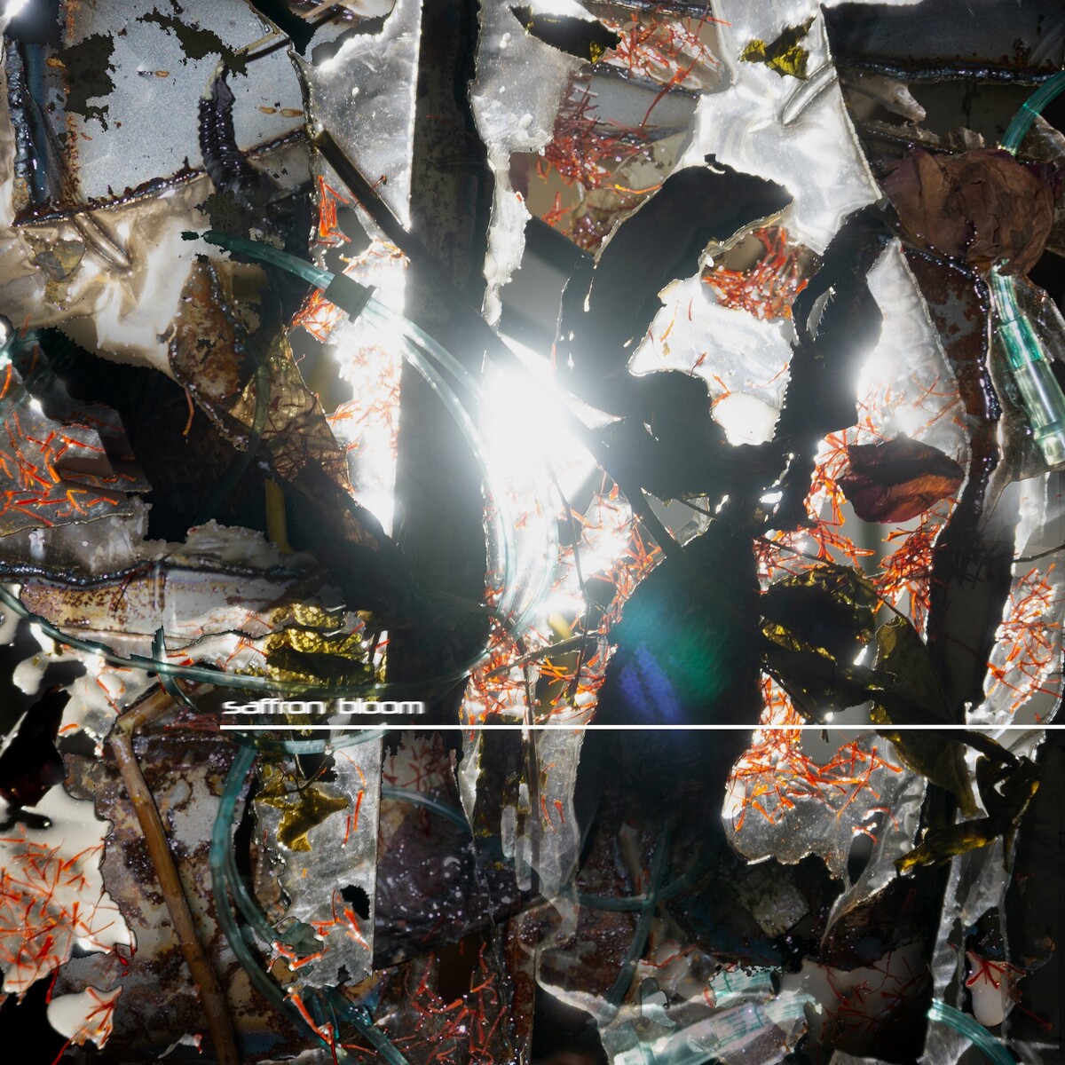 Saffron Bloom by Saffron Bloom (Album): Reviews, Ratings, Credits, Song ...