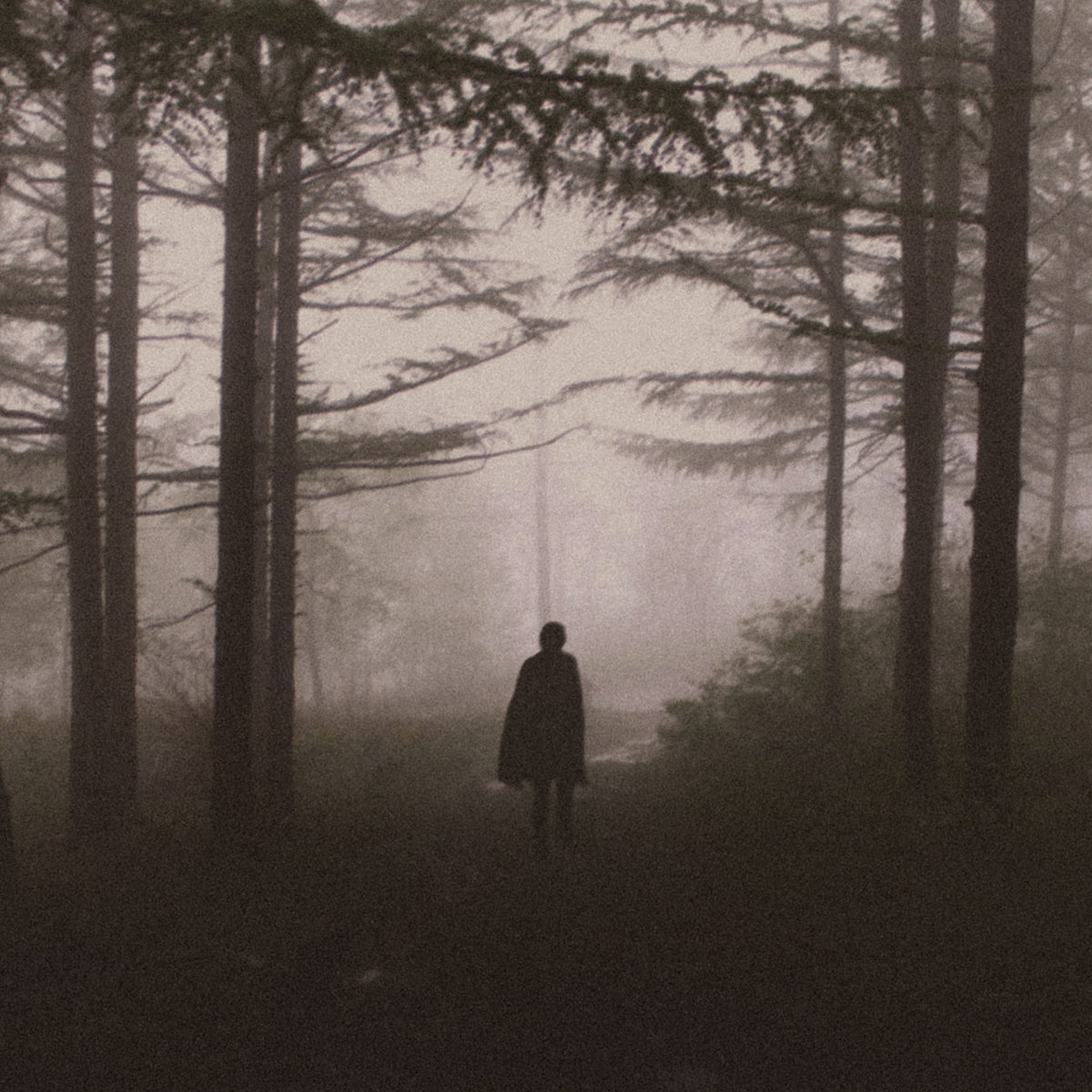 in the outdoors by nowt (Album, Ambient): Reviews, Ratings, Credits ...