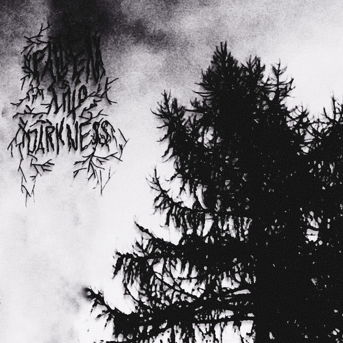 Fallen Into Darkness Albums: songs, discography, biography, and ...