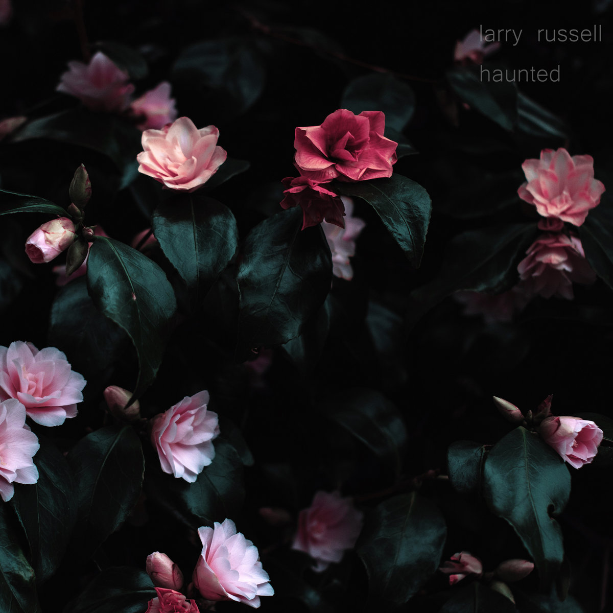 Haunted by Larry Russell (Album): Reviews, Ratings, Credits, Song list ...