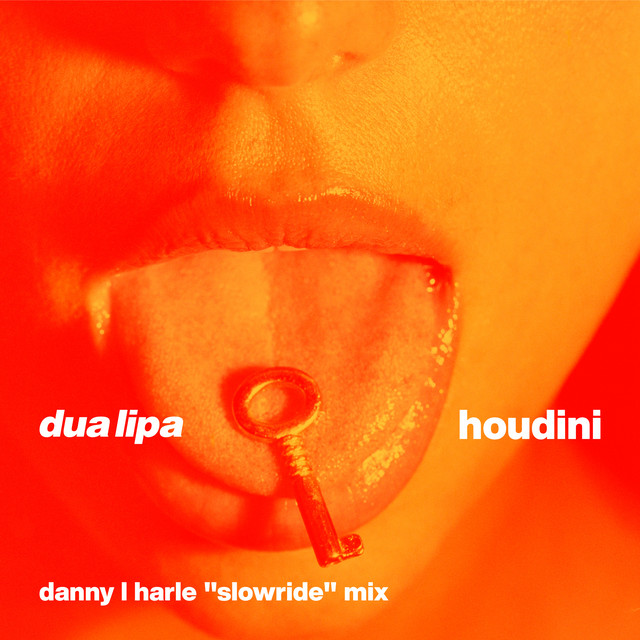 Houdini (Danny L Harle Slowride Mix) by Dua Lipa (Single, Nu-Disco): Reviews, Ratings, Credits ...