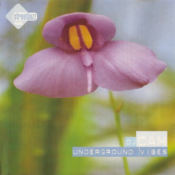 DJ Cam Albums: songs, discography, biography, and listening guide ...