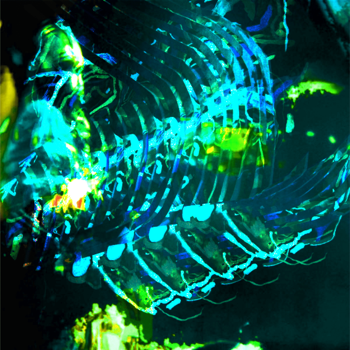 Sleeping With by Pacro Morn (Album, Psychedelic Pop): Reviews, Ratings ...