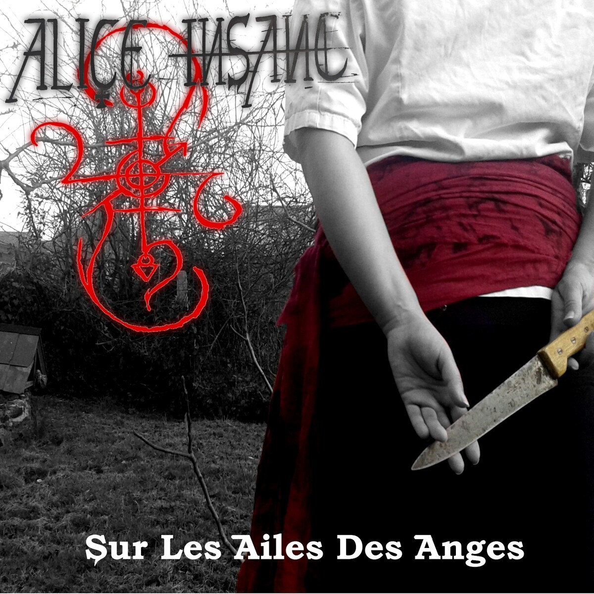 Alice Insane Albums: songs, discography, biography, and listening guide ...