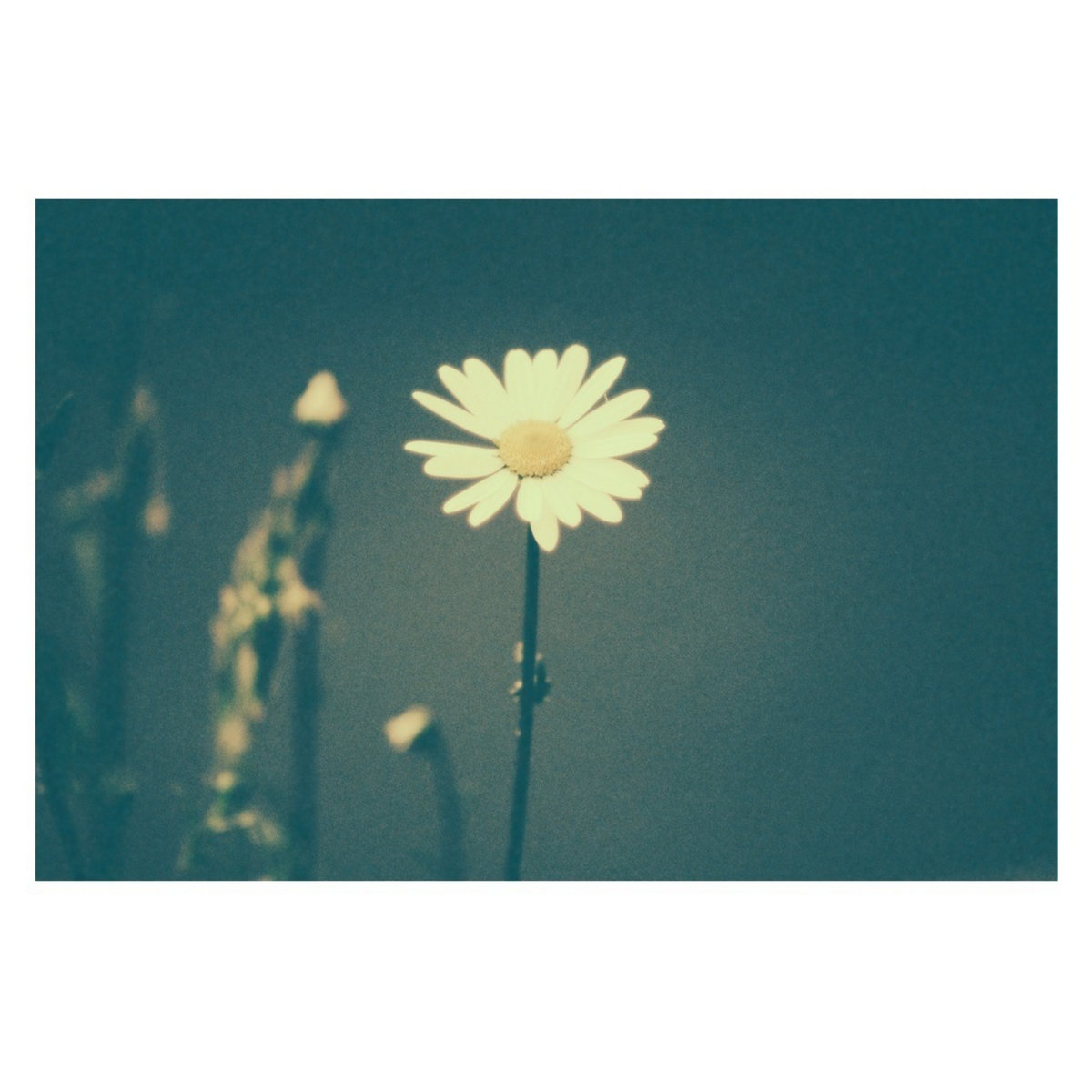 Cute Boys (The Rise of Lil Delicious) by Chris Crack (Album, Abstract ...
