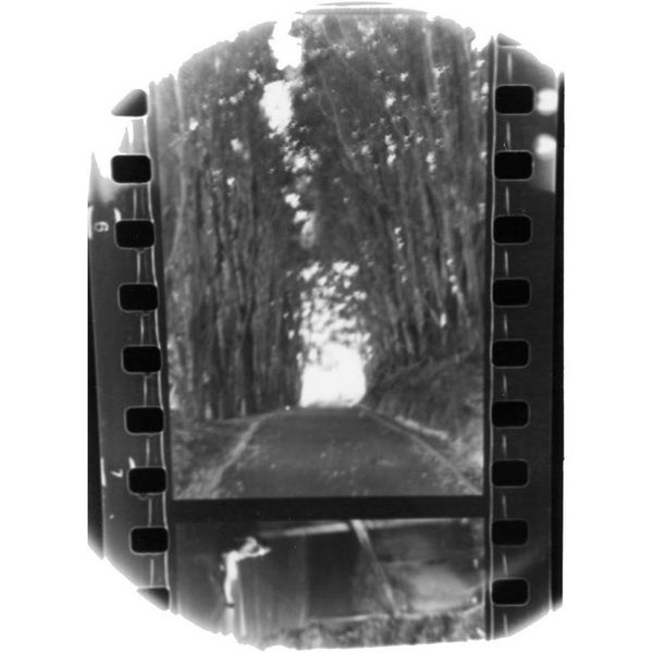 Seahaven Albums: songs, discography, biography, and listening guide ...