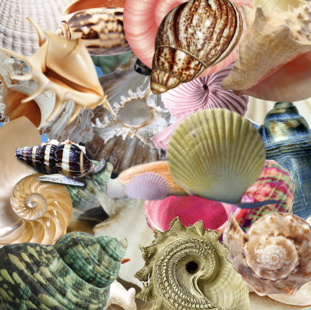 Collected Seashells by DJ Seashell (Mixtape): Reviews, Ratings, Credits ...