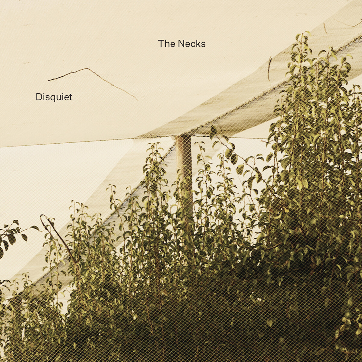 Causeway by The Necks (Single, Post-Rock): Reviews, Ratings, Credits ...
