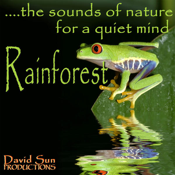 Rainforest (The Sounds of Nature for a Quiet Mind) by David Sun (Album ...