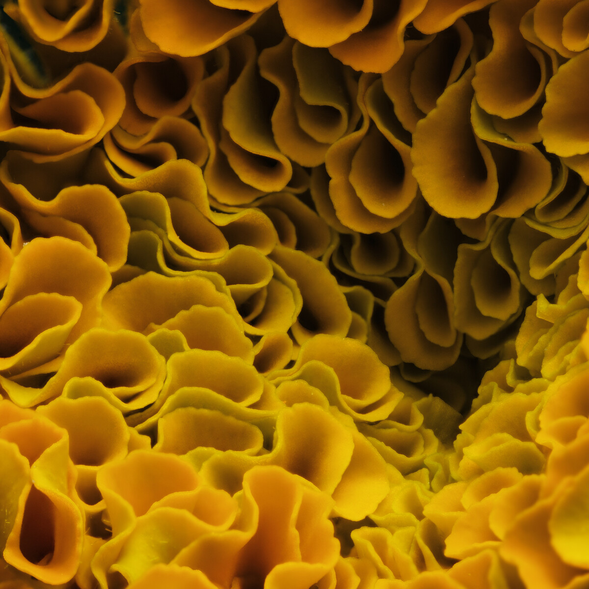 Tempora by Drum & Lace (EP): Reviews, Ratings, Credits, Song list ...