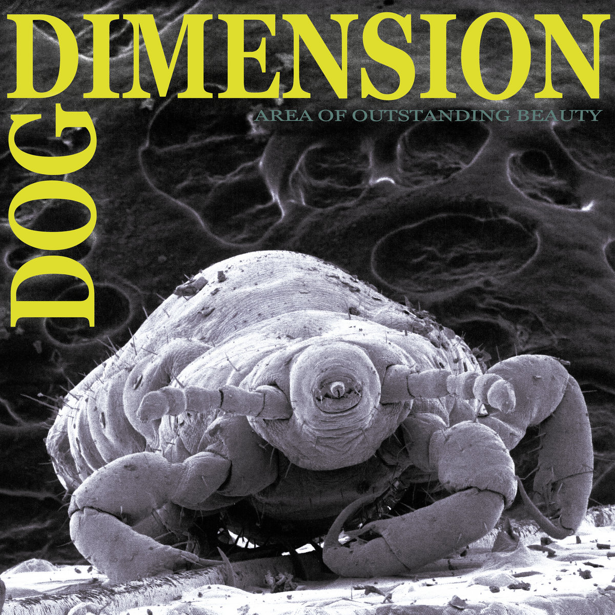 Dog Dimension Albums: songs, discography, biography, and listening ...
