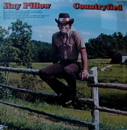 Countryfied by Ray Pillow (Album, Country): Reviews, Ratings, Credits ...